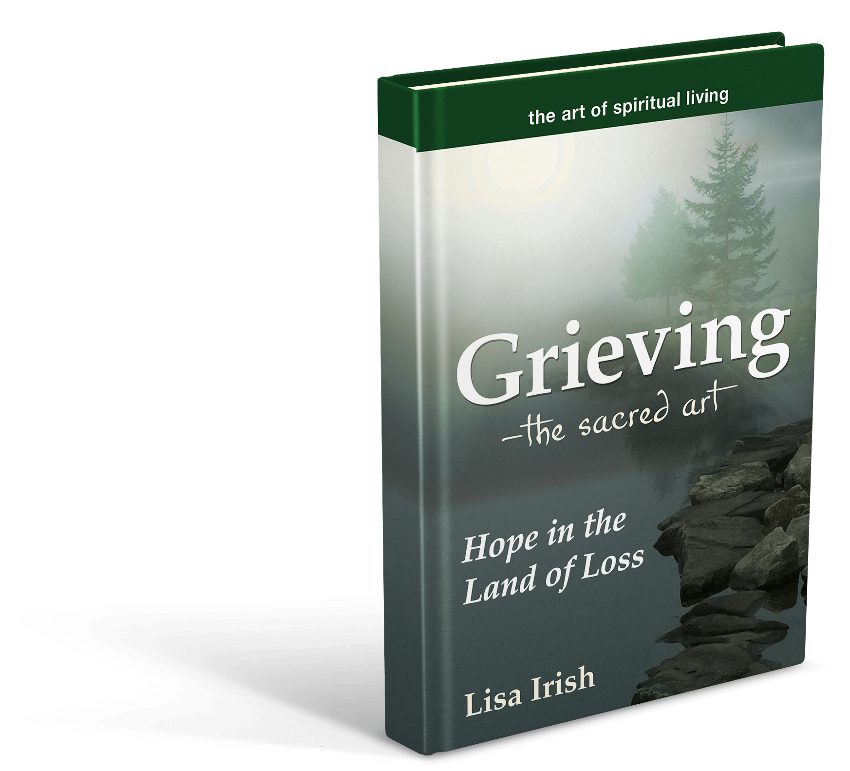 Publications – Lisa Irish